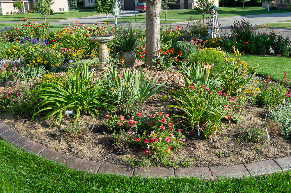 Gardening Tips | Medary Acres